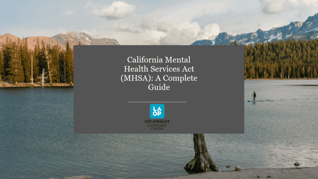 California Mental Health Services Act (MHSA): A Complete Guide - Los ...