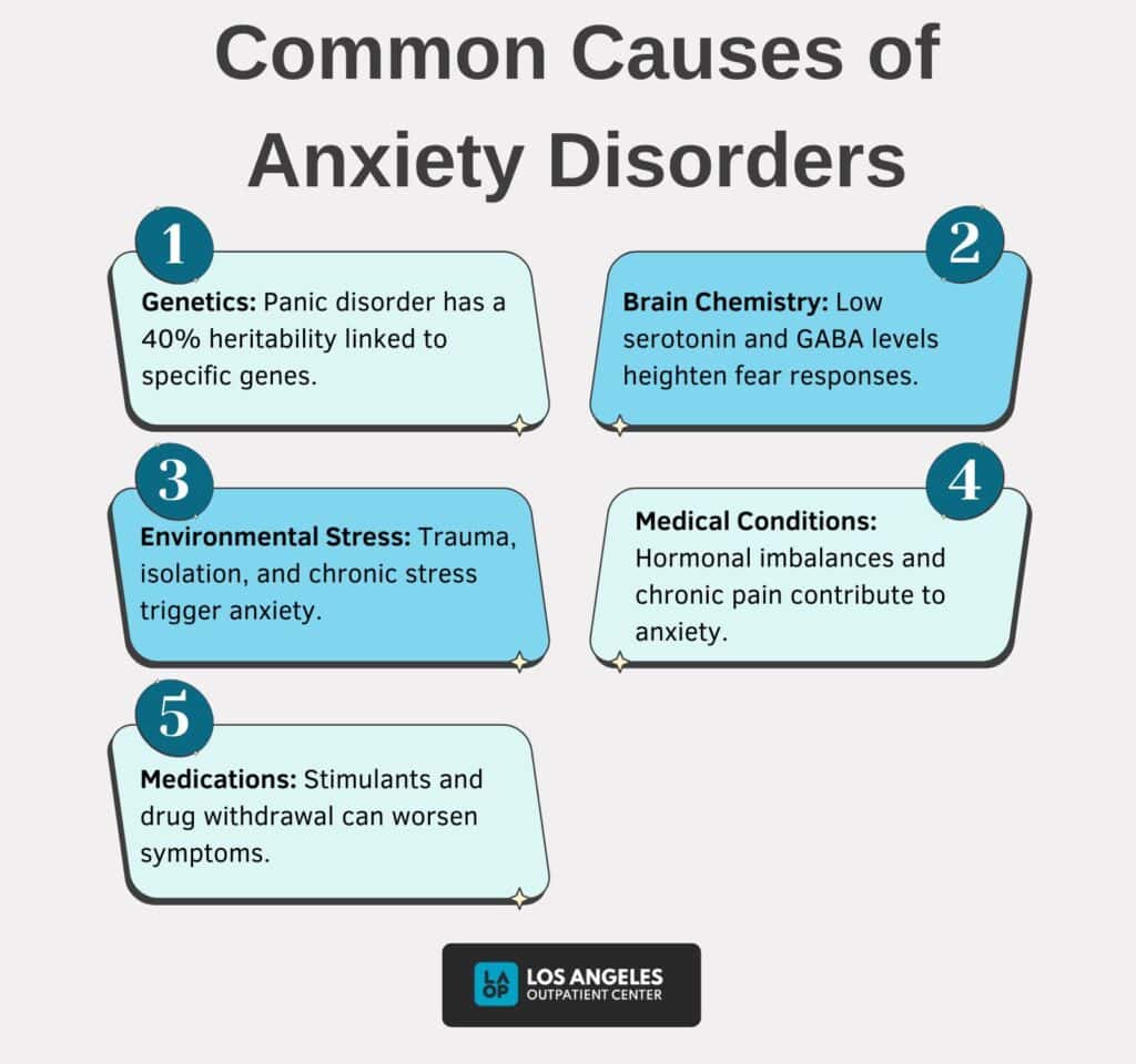 Anxiety Disorders: Definition, Types, Symptoms, Causes, Treatments ...