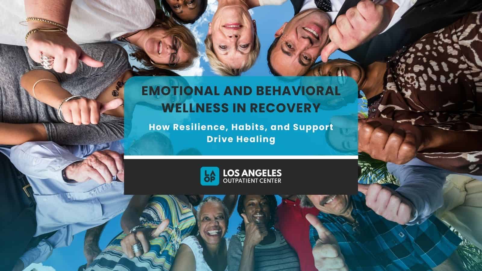 Emotional and Behavioral Wellness in Recovery: How Resilience, Habits ...