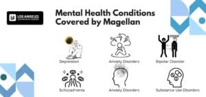 Magellan: Definition, Coverage, Application, Benefits, Cost ...
